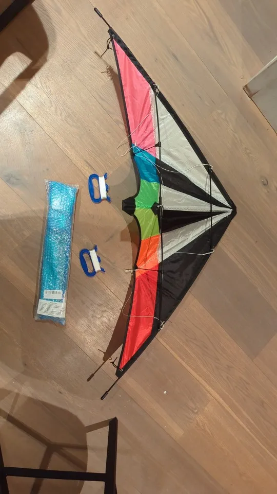 Good Flying 48 Inch Rainbow Professional Dual Line Stunt Kite ...