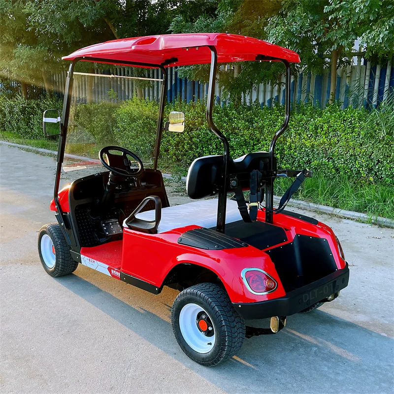 Popular-Family-Mini-Electric-Golf-Carts-In-2022-2-Seater-High-And-Low ...