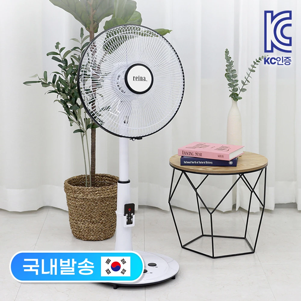 Reina-electric-fan-remote-control-touch-ultra-fine-foot-easy-touch ...