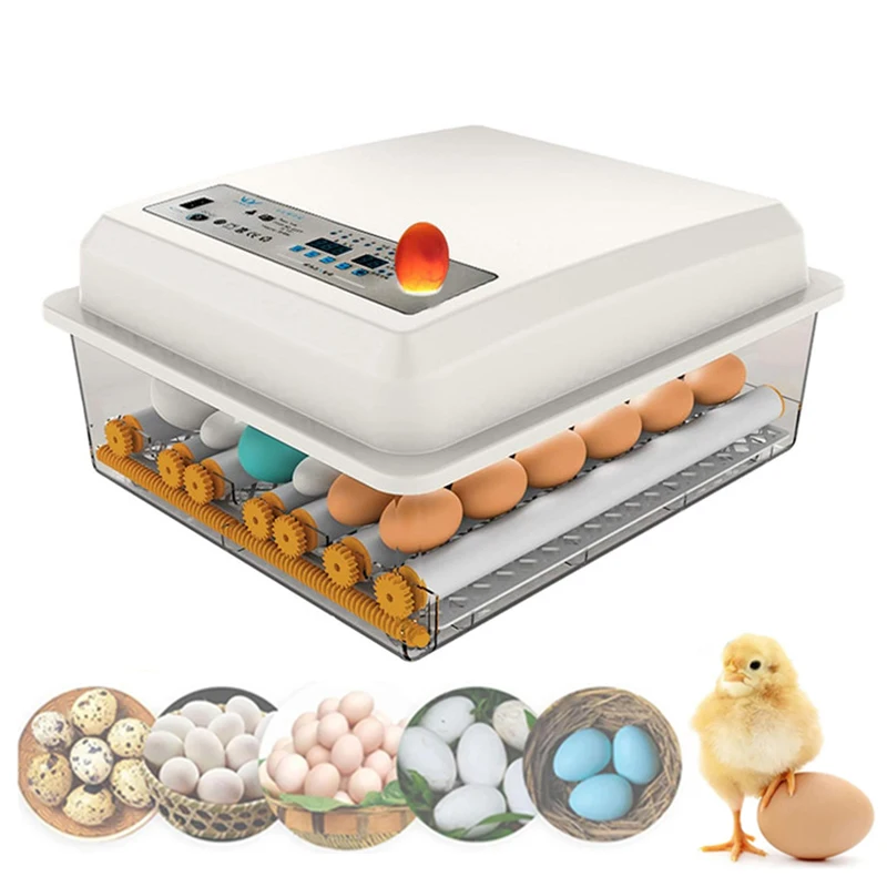 24-56Eggs-Incubator-With-Drawer-Type-Egg-Incubator-Turner-With ...