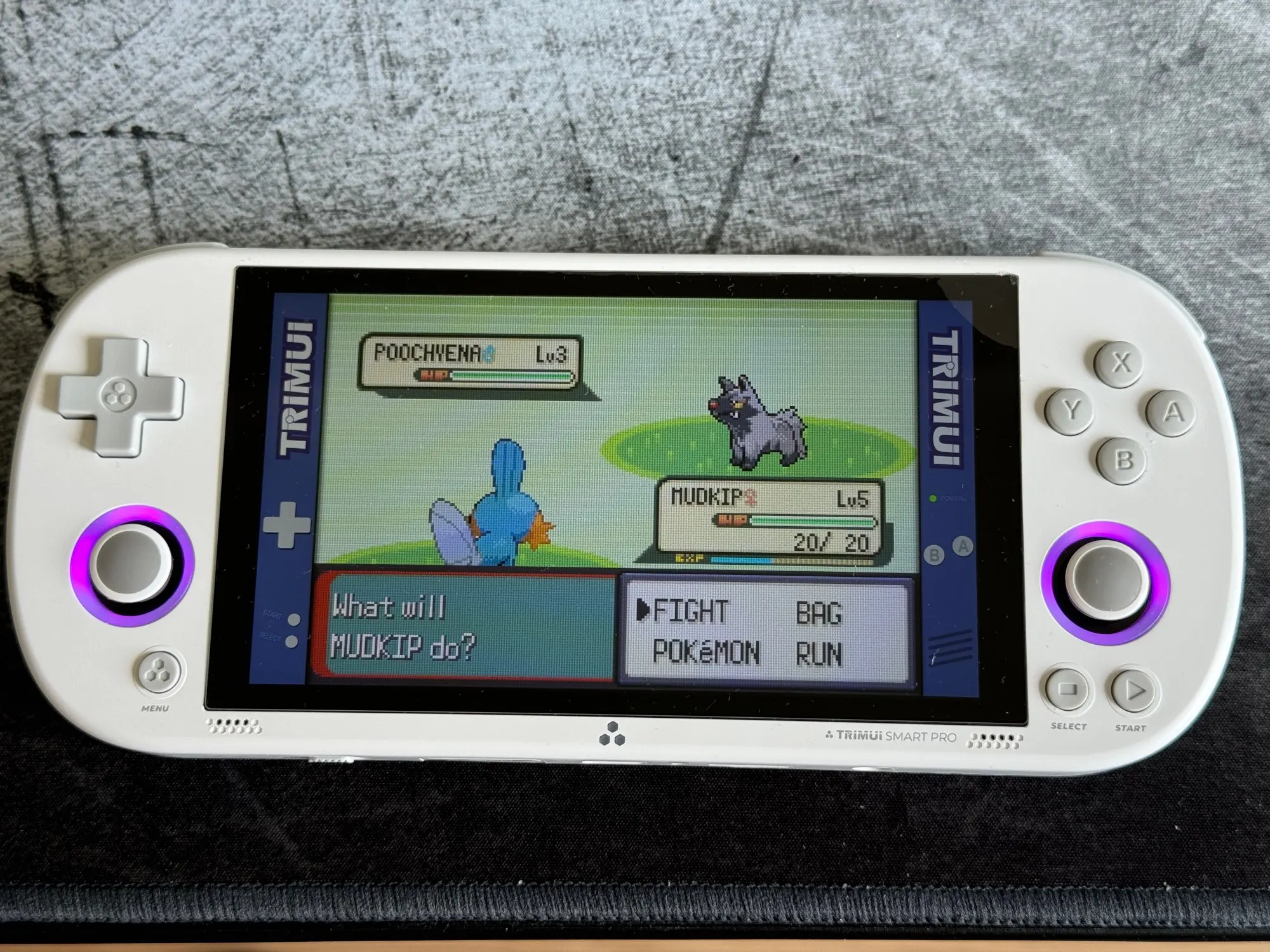 Trimui Smart Pro Handheld Game Console 4.96''IPS Screen Linux System ...