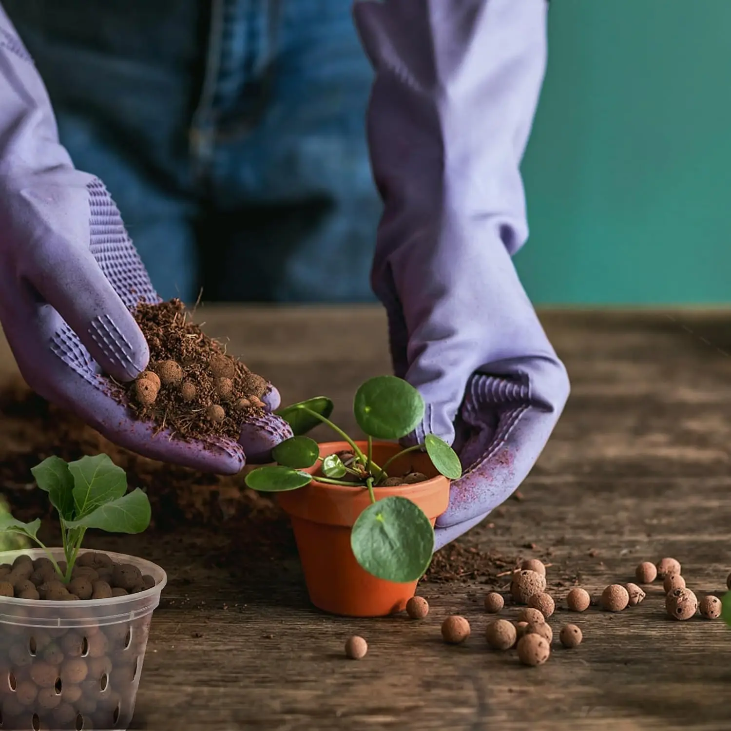 Flower Substrate Drainage Expanded Clay – Gardening Galore