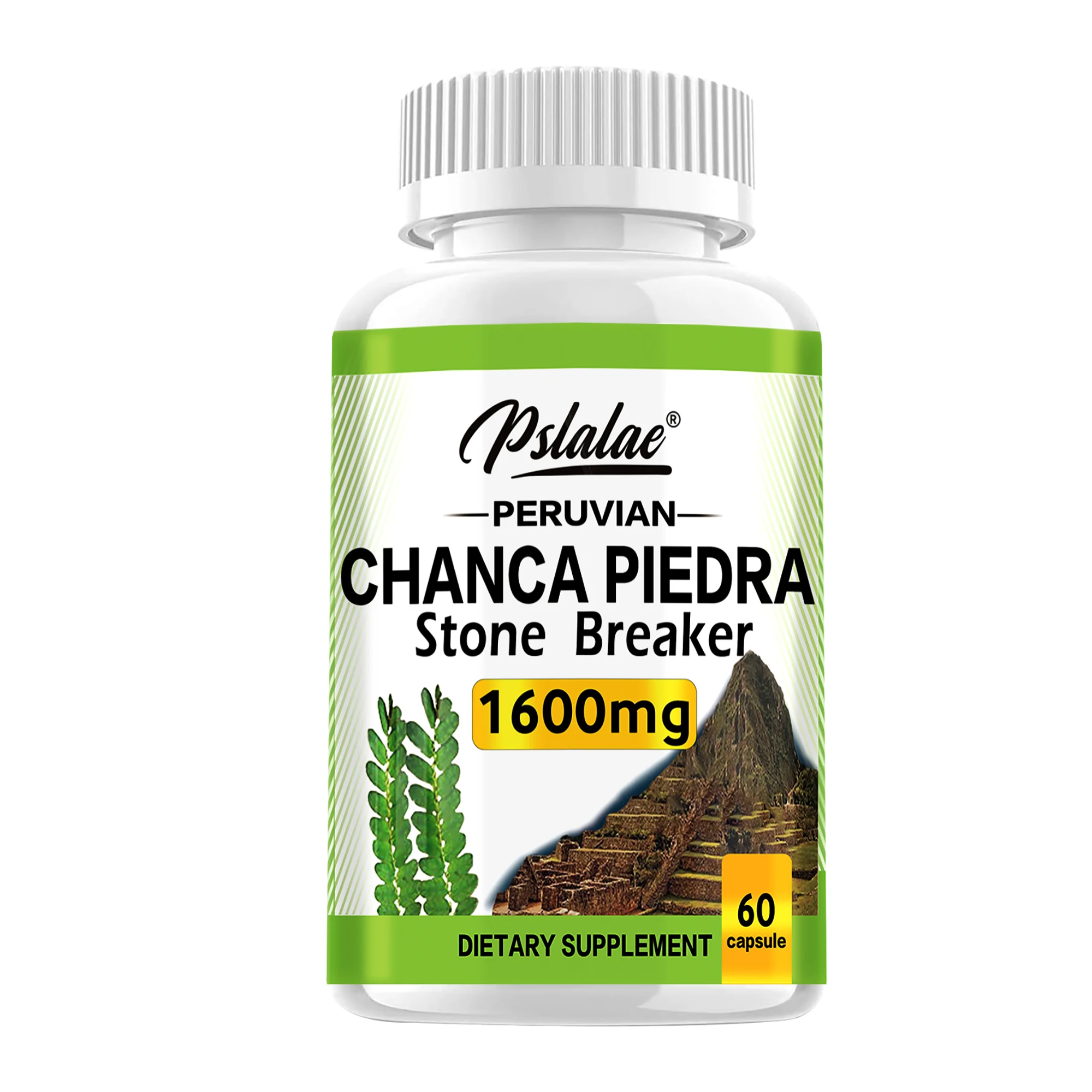Chanca Piedra 1600 mg - Suplemento para el apoyo renal, elimina cálculos renales y biliares - 60 ...