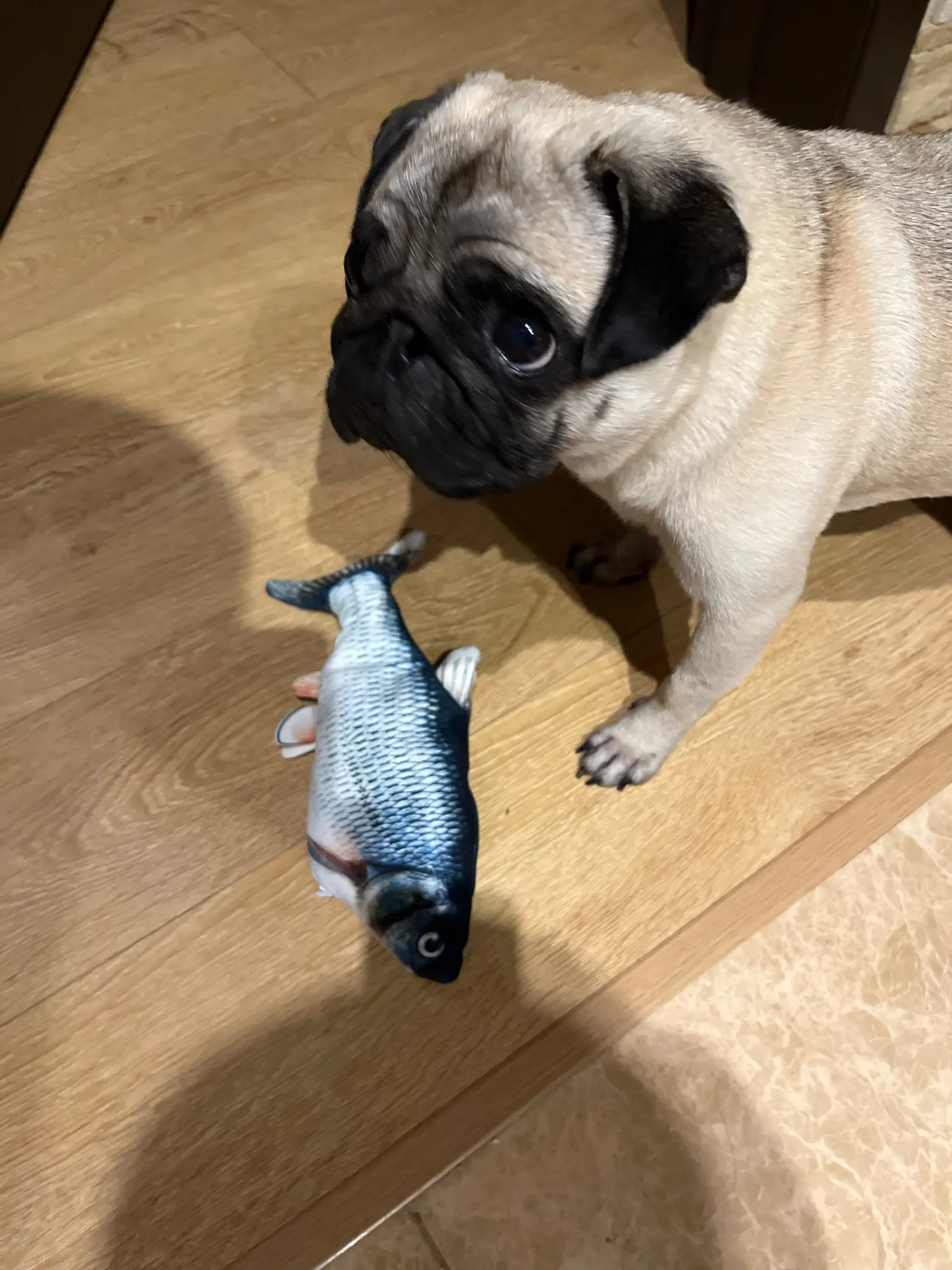 Cat Toys Wholesale Interactive Floppy Fish Self Moving Fish Kitten Toys ...