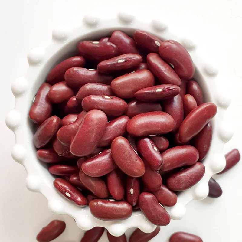 홈 제품 피드백