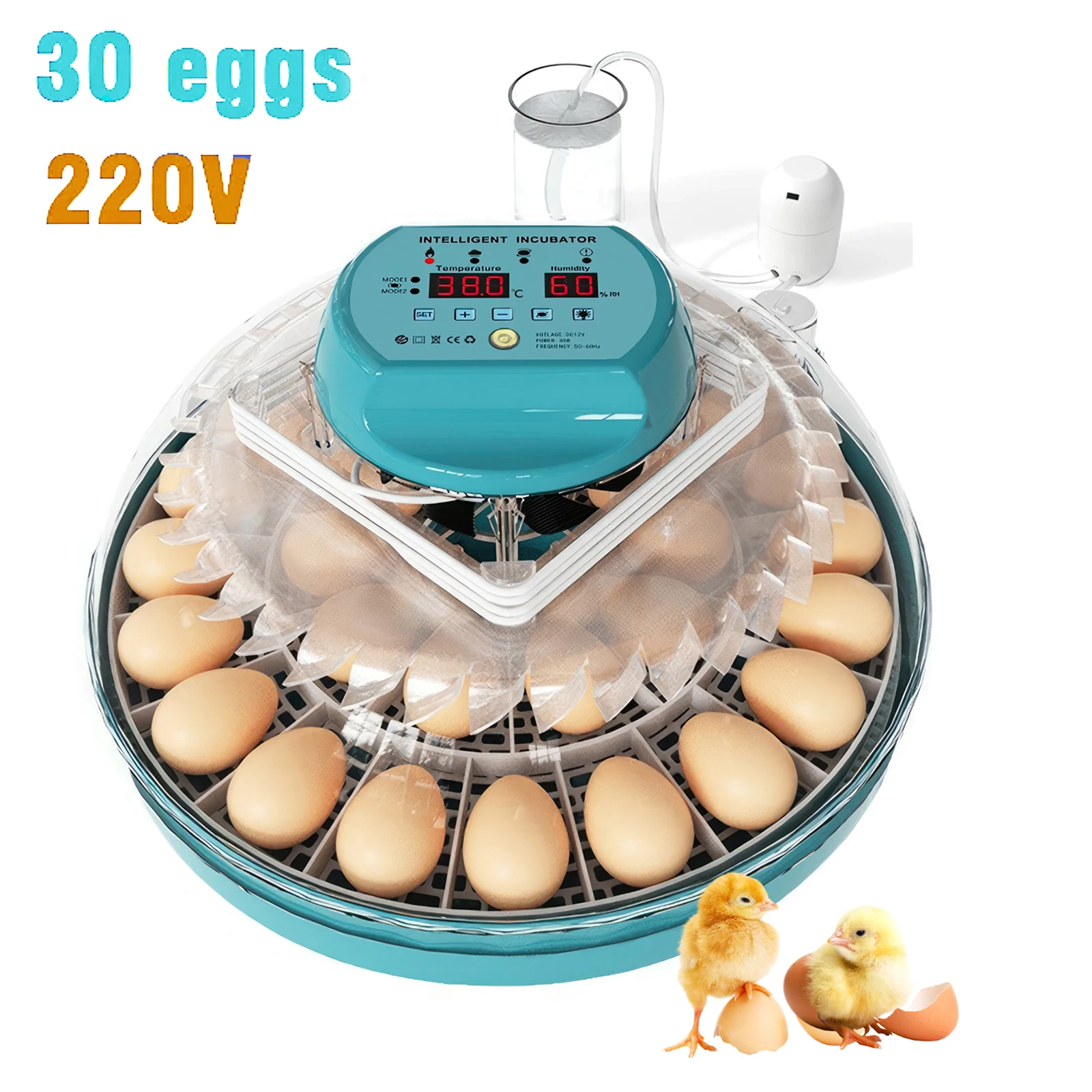 15-30-Egg-Incubator-for-Hatching-with-Automatic-Egg-Turning-Led-Egg ...