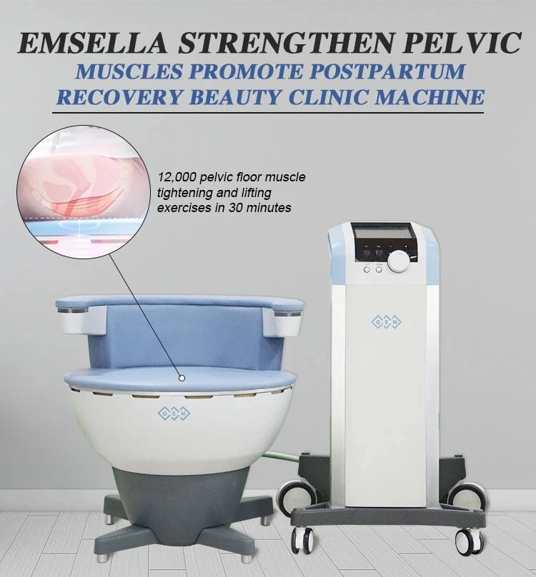 Btl Pelvic Floor Chair Treatment Device Hip Muscle Massage Postpartum ...