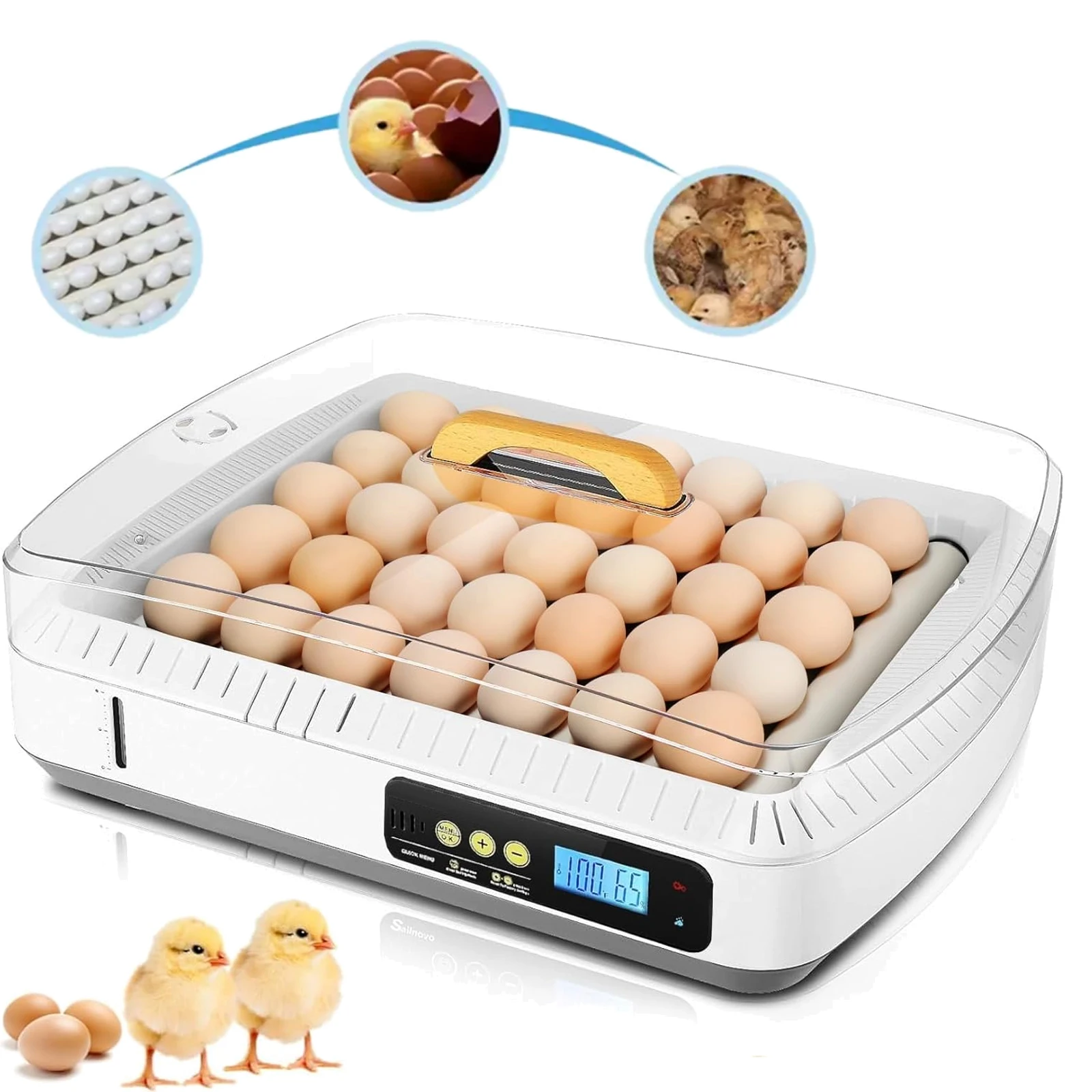 Store Home Products Feedback