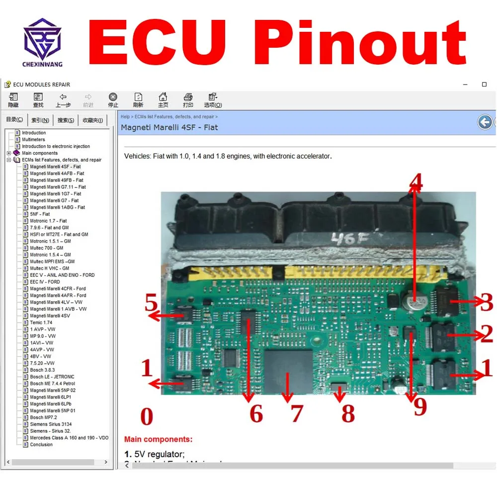 ECU-Pinout-Immo.jpg