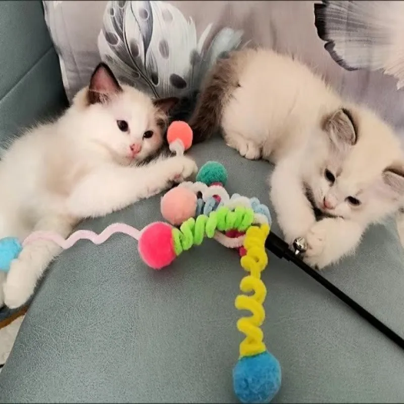 Cat-Toys-Interactive-Cat-Stick-with-Bell-Random-Color-Funny-Stick-toy ...