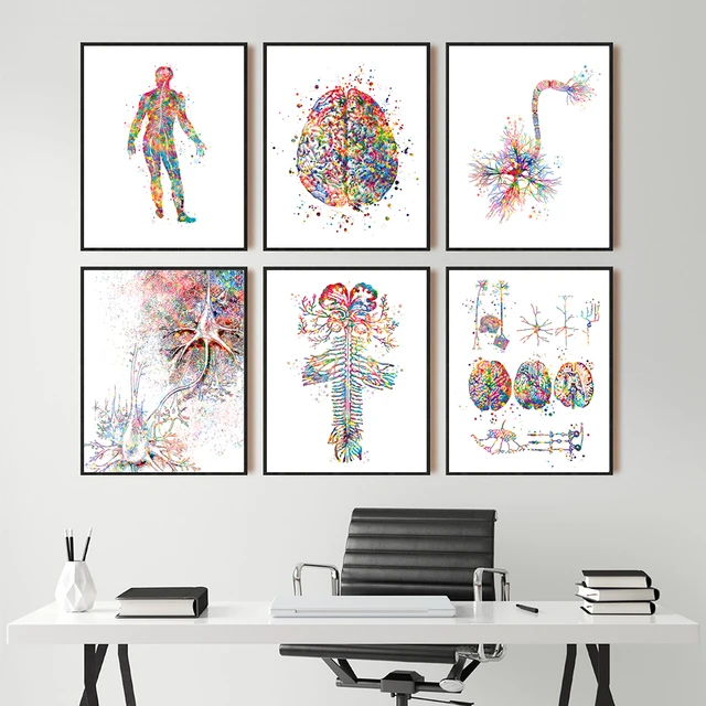 Neuroscience Art Prints