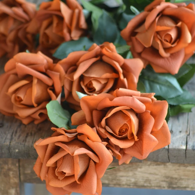 Rust Colored Roses