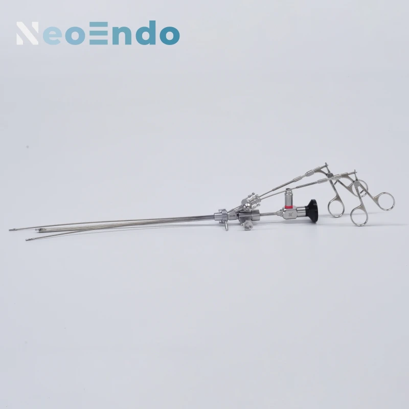 Rigid Urology Cystoscope Set 30 Degree 4x302mm With Working Channel And ...