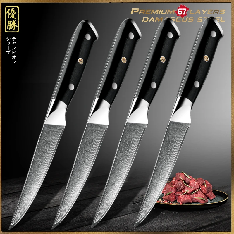 Grandsharp 4Pcs Damascus Steak Knife Set 67 Layers VG10 Japanese ...