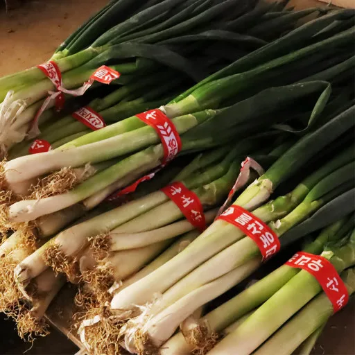 Myung-won-45-domestic-soil-is-directly-shipped-to-the-bankruptcy-area ...