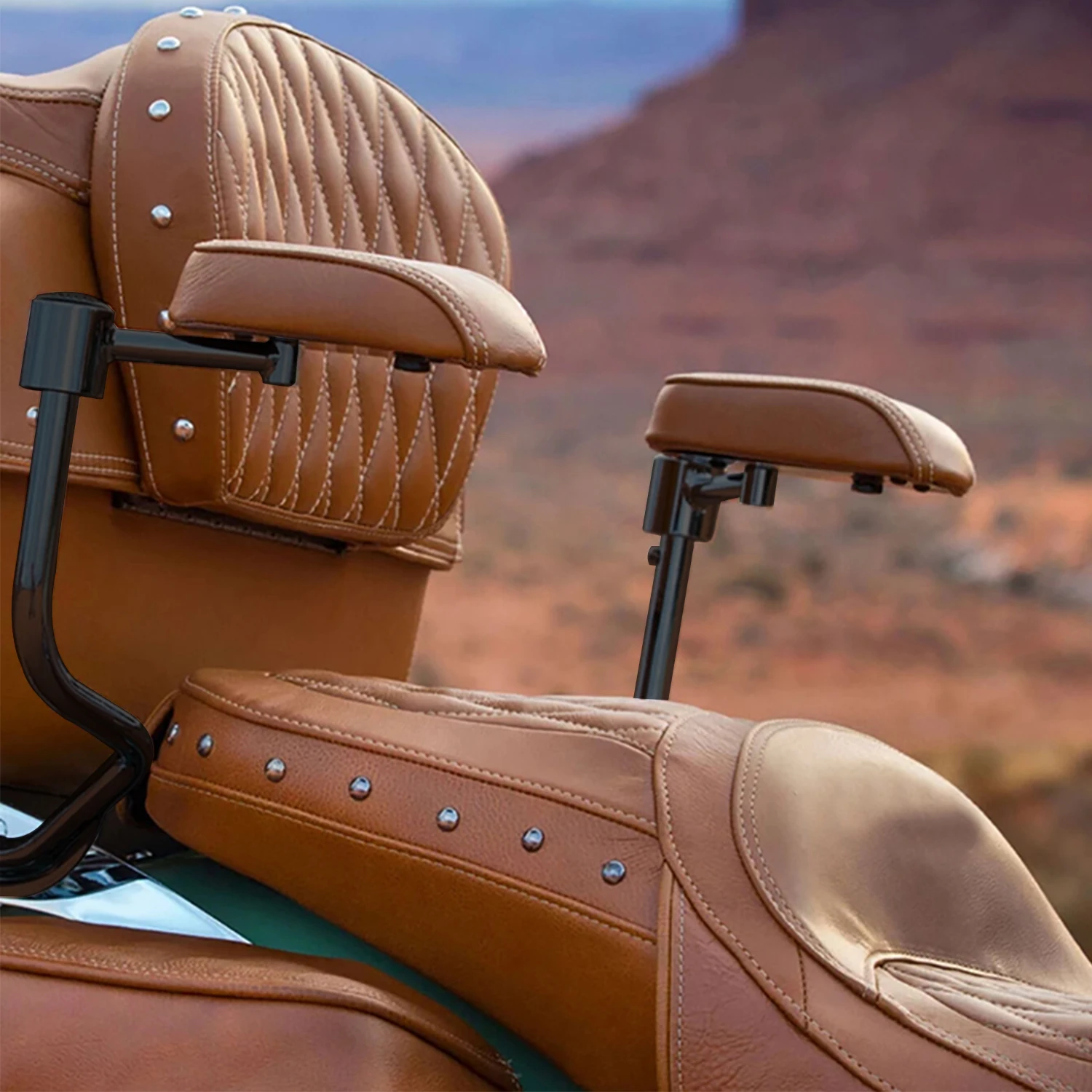 Panical-Passenger-Armrests-Trunk-Left-Right-Support-For-Indian ...