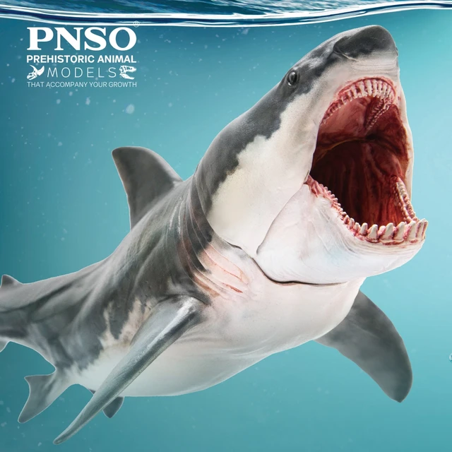 Prehistoric Megalodon