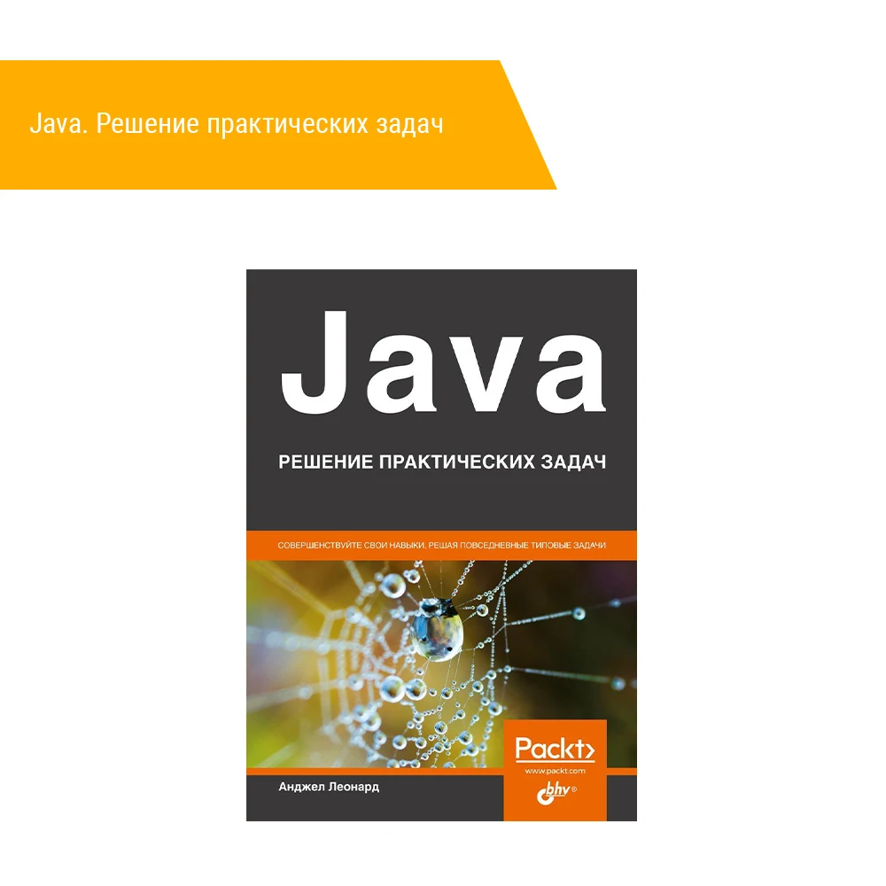 Book-Leonard-Java-Solution-of-practical-problems.jpeg