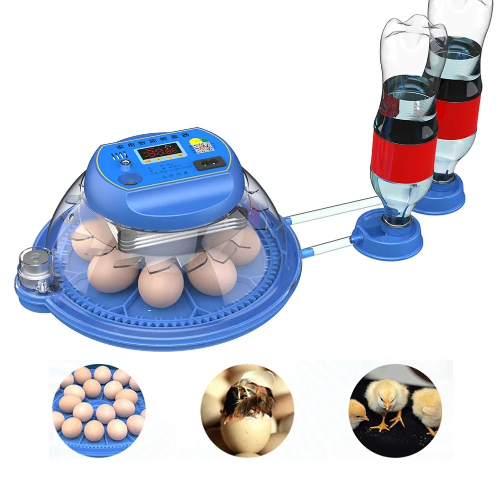 33-Bird-Eggs-Incubator-Automatic-Brooder-Farm-Chick-Hatchery-Machine ...