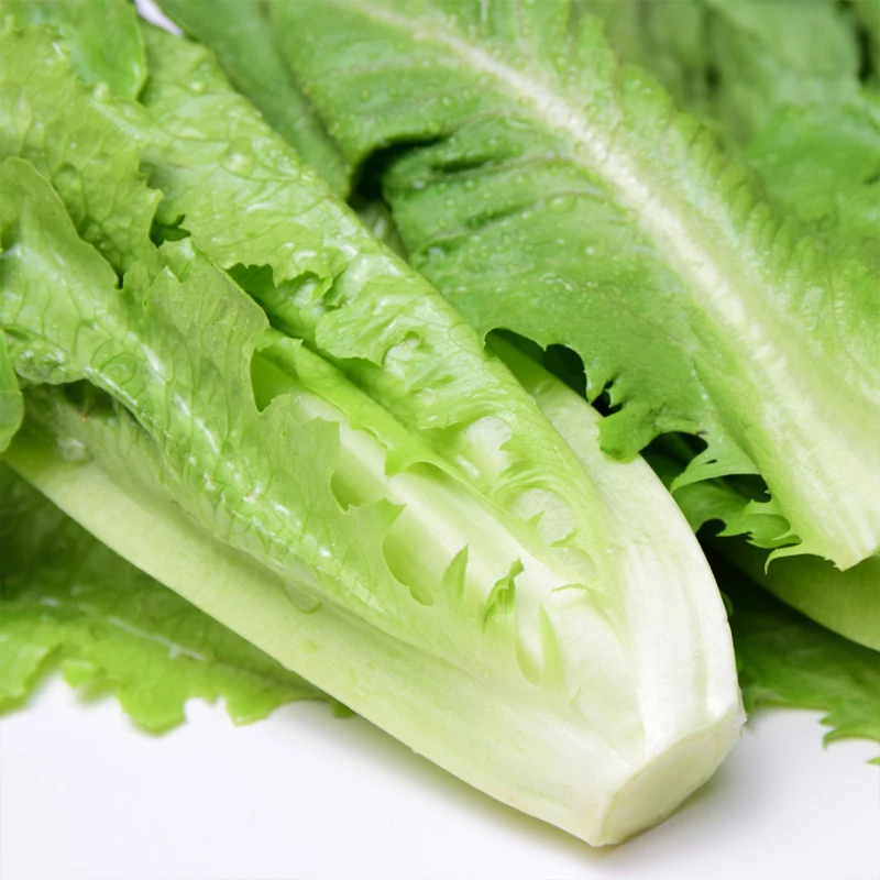 Direct-production-Believing-passage-main-lettuce-ssamset-vegetables-1kg ...