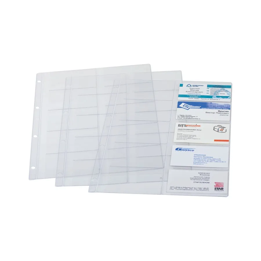 Folders-files-for-20-brauberg-business-cards-set-of-10-PCs-A4 ...