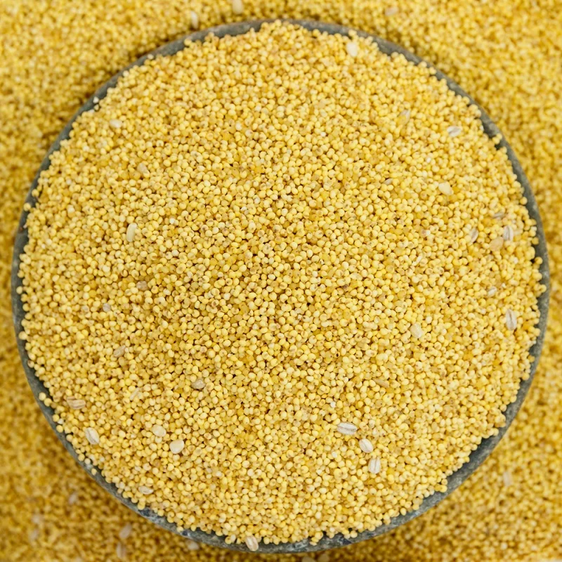 500g-x-3-rods-for-domestic-market-L-yellow-millet-rice-grain-L-zipper ...