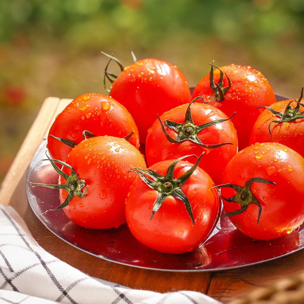 Premium Mushroom Tomato European Species - AliExpress 2