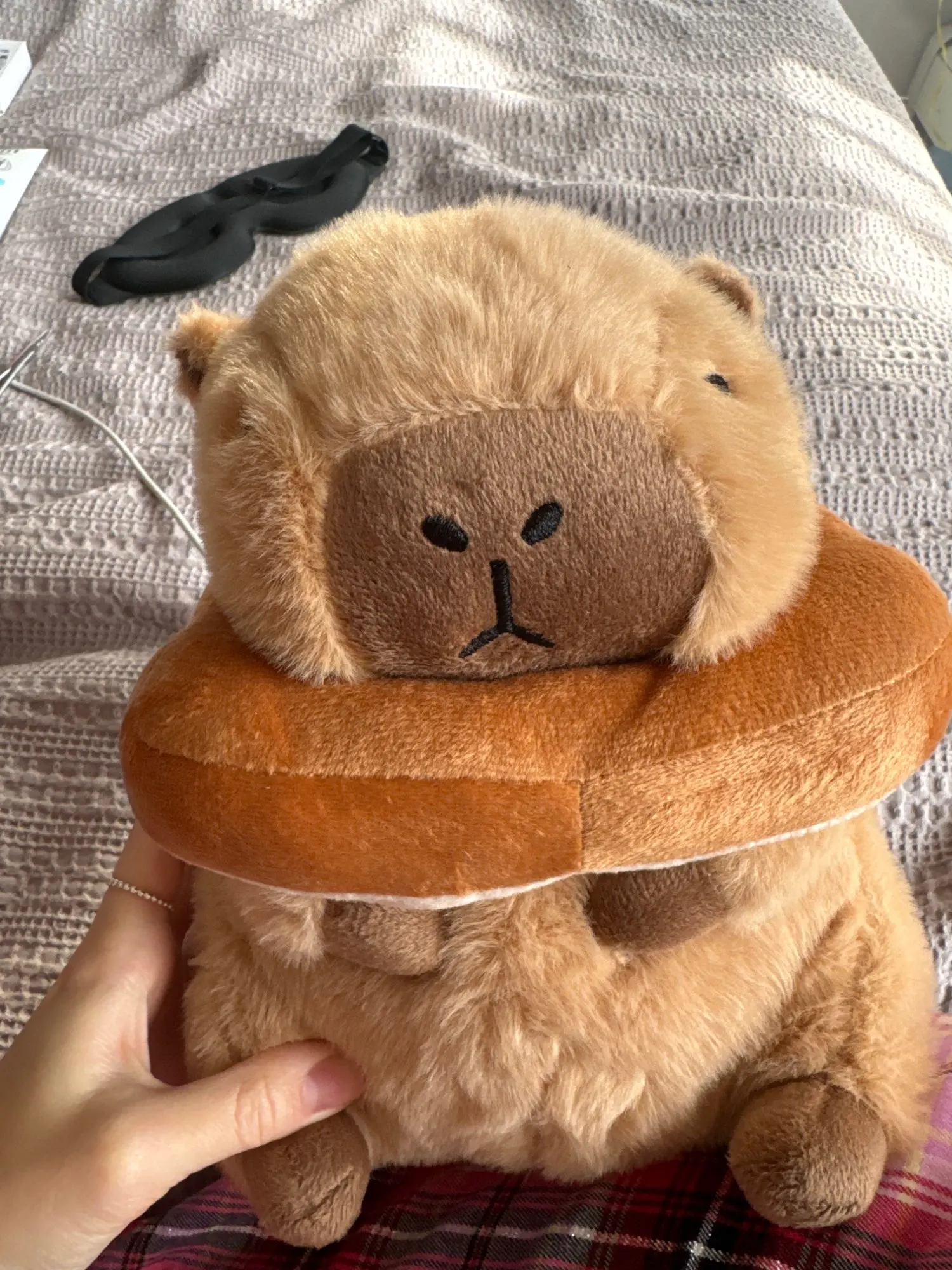 Kawaii Capybara Bread Soft Fluffy Plush | Rainbow Cabin