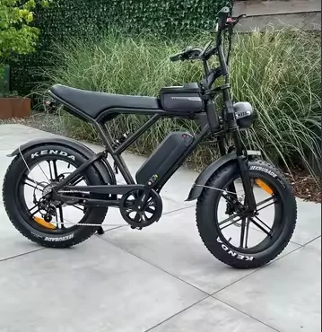 V20PRO Electric Bike – Off-Road Mountain E-Bike – Zen Wheels