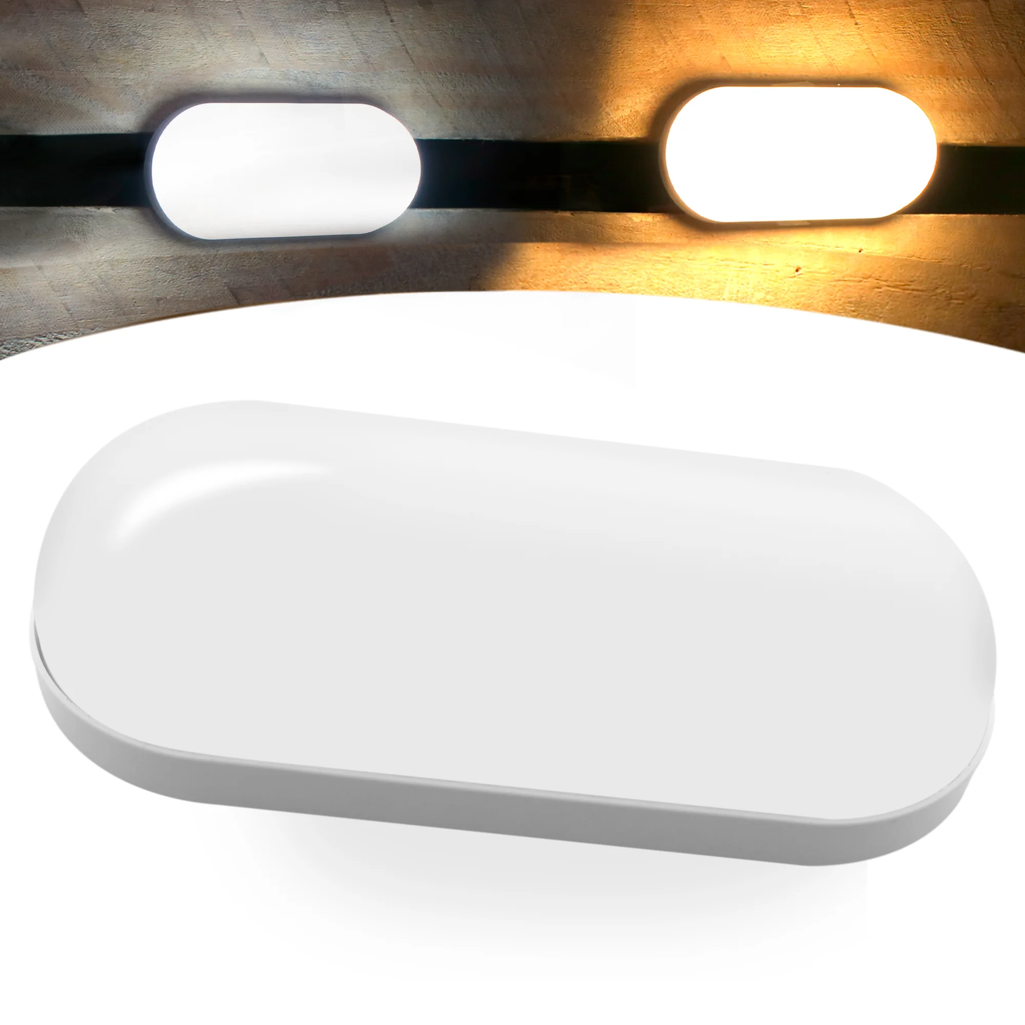 Turtle Ceiling Light | Turtle Lamp Lighting | Turtle Light Fixture ...