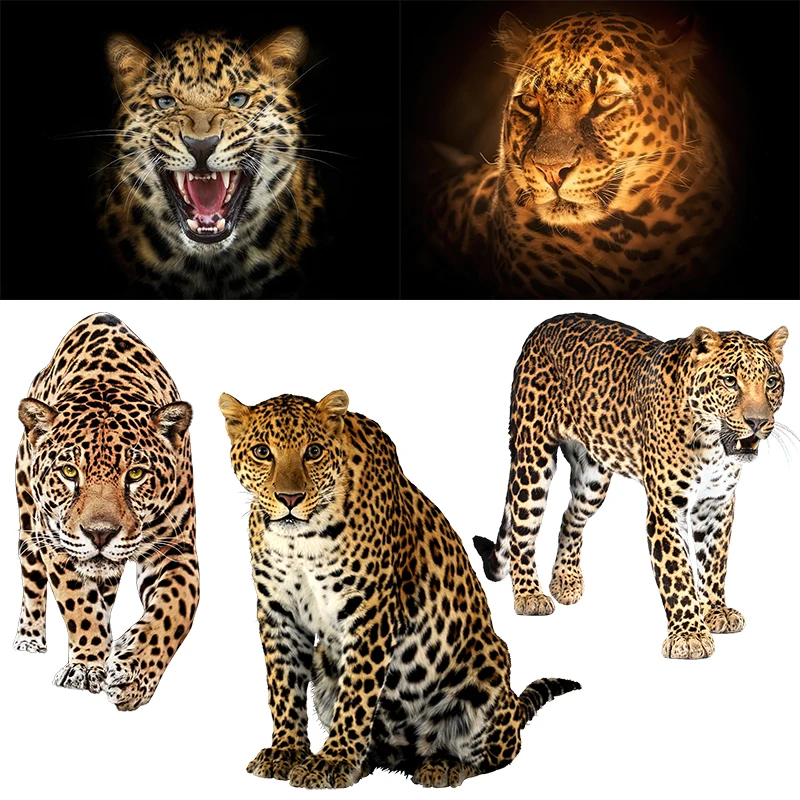 Three-Ratels-CO18-Fast-Leopard-Beast-wall-sticker-for-home-Decorative.jpg