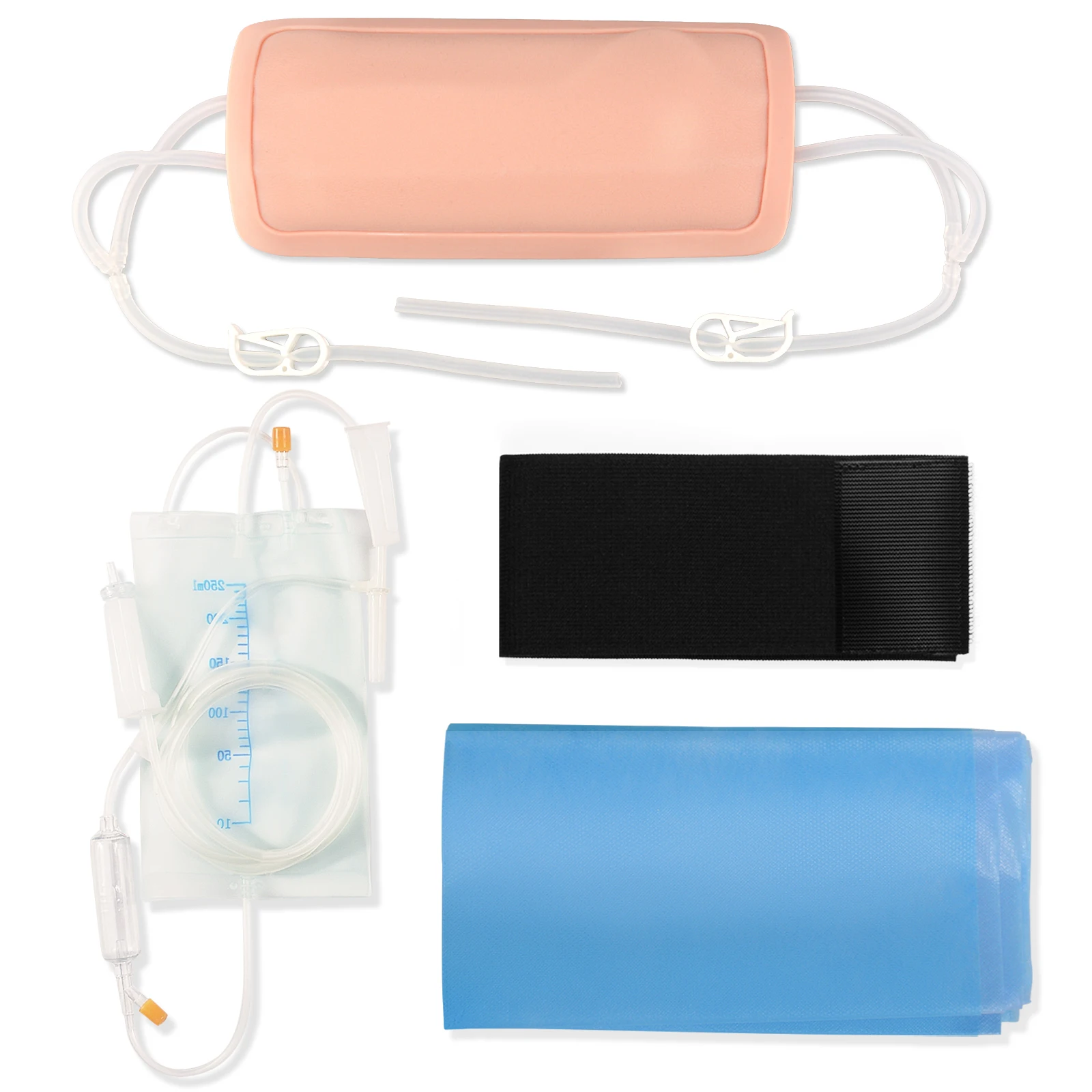 Anatomical Model IV Practice Kit, Phlebotomy & Venipuncture Practice IV ...