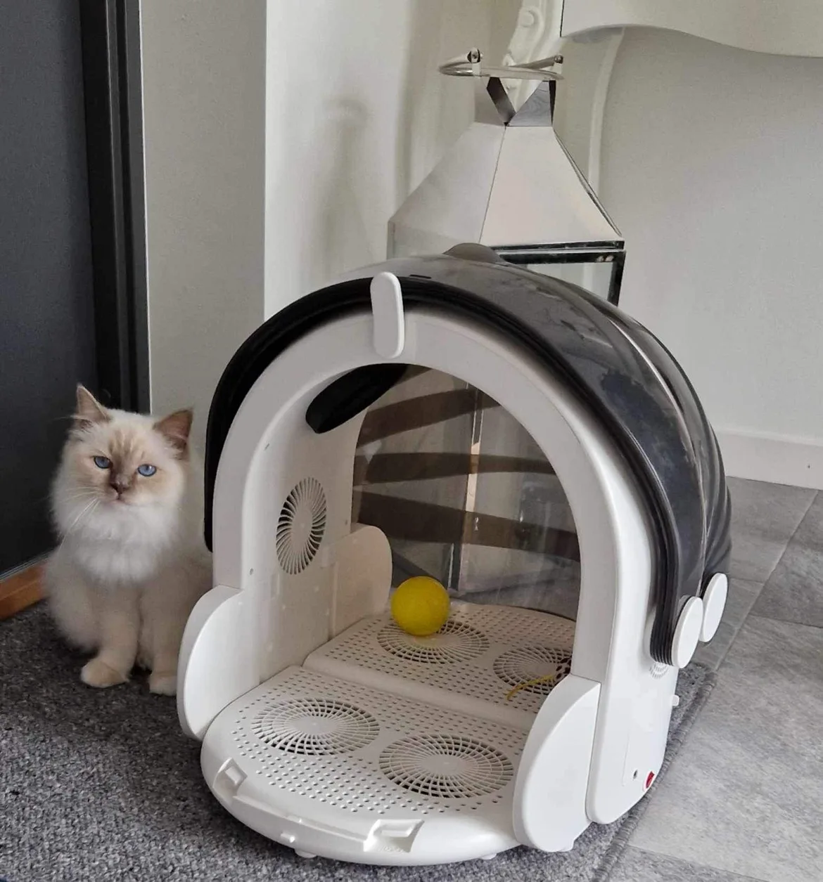 2024 NEW Smart Foldable Dryer Box For Cats & Small Dogs - Dzordz Shop