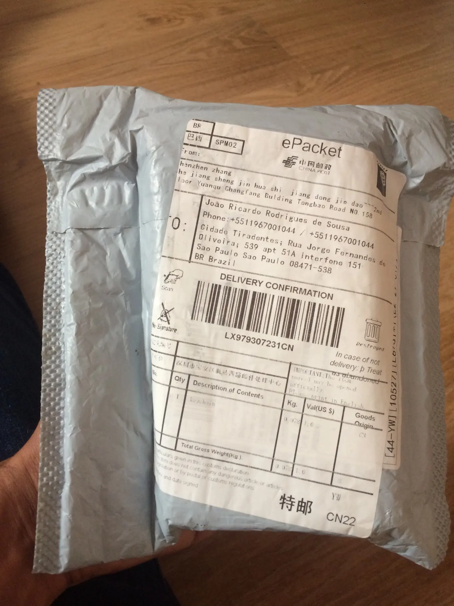 Solar Charger Keychain | SmartLightPanel.com