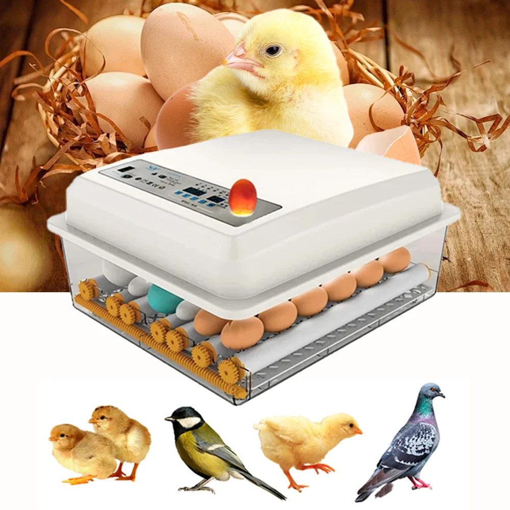 16-24-56-Eggs-Fully-Automatic-Incubator-With-Drawer-Type-Mini-Egg ...