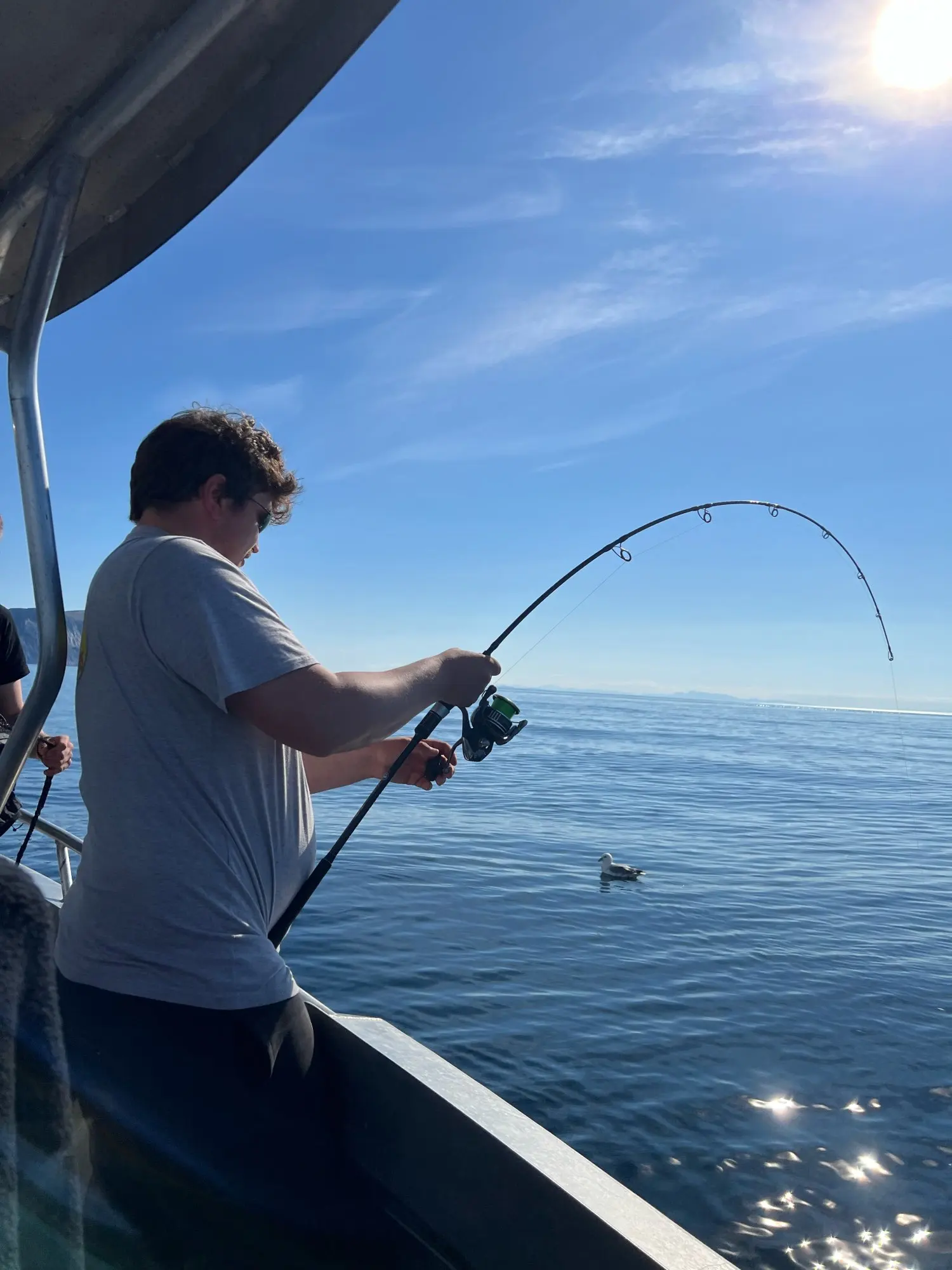 NEW MADMOUSE Dragg Force BG Jigging Rod 1.9m PE4-8 Jig 400g Drag 30kg ...