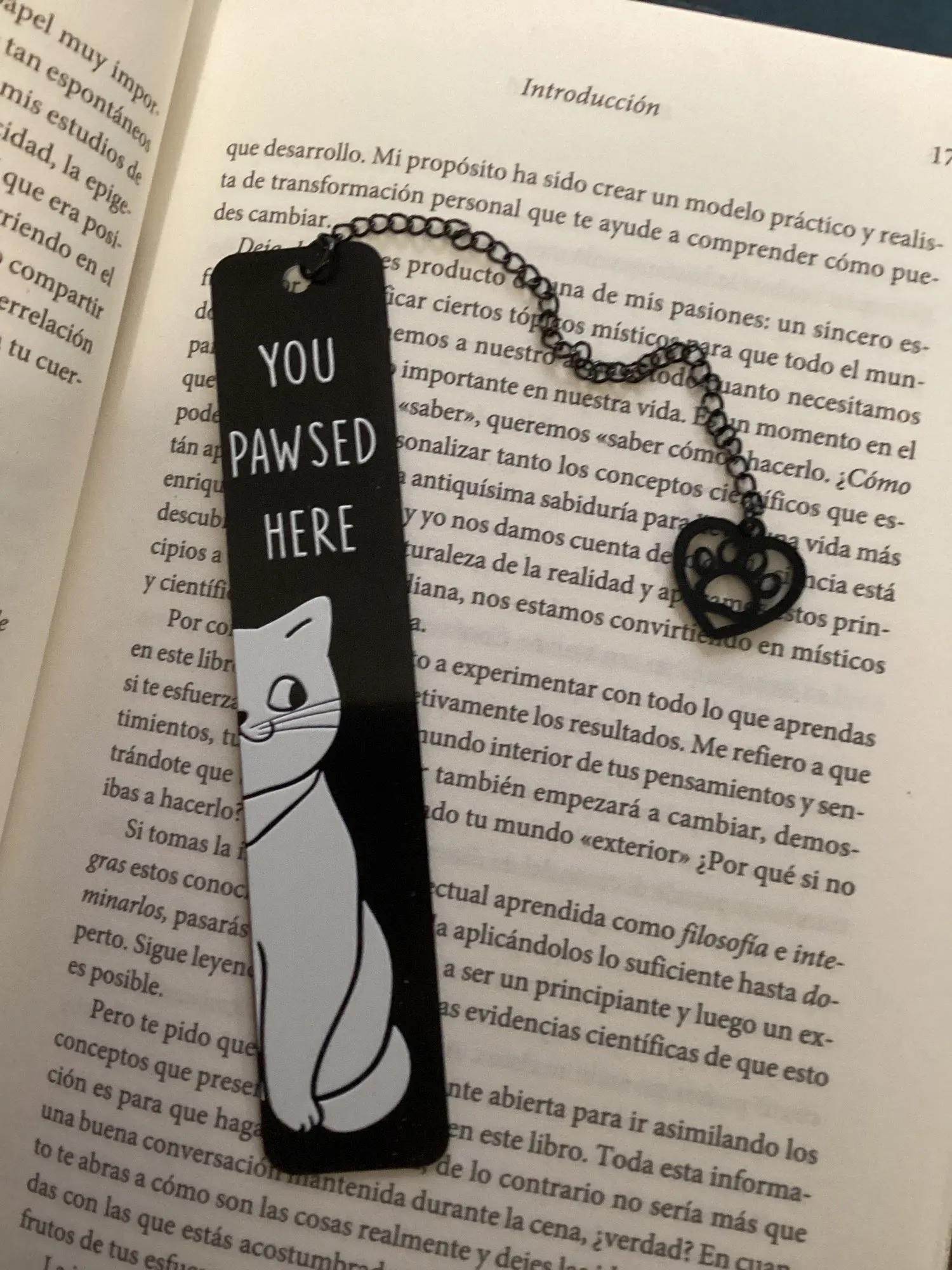 You Pawsed Here – Metal Cat Bookmark | Dear Bookworm