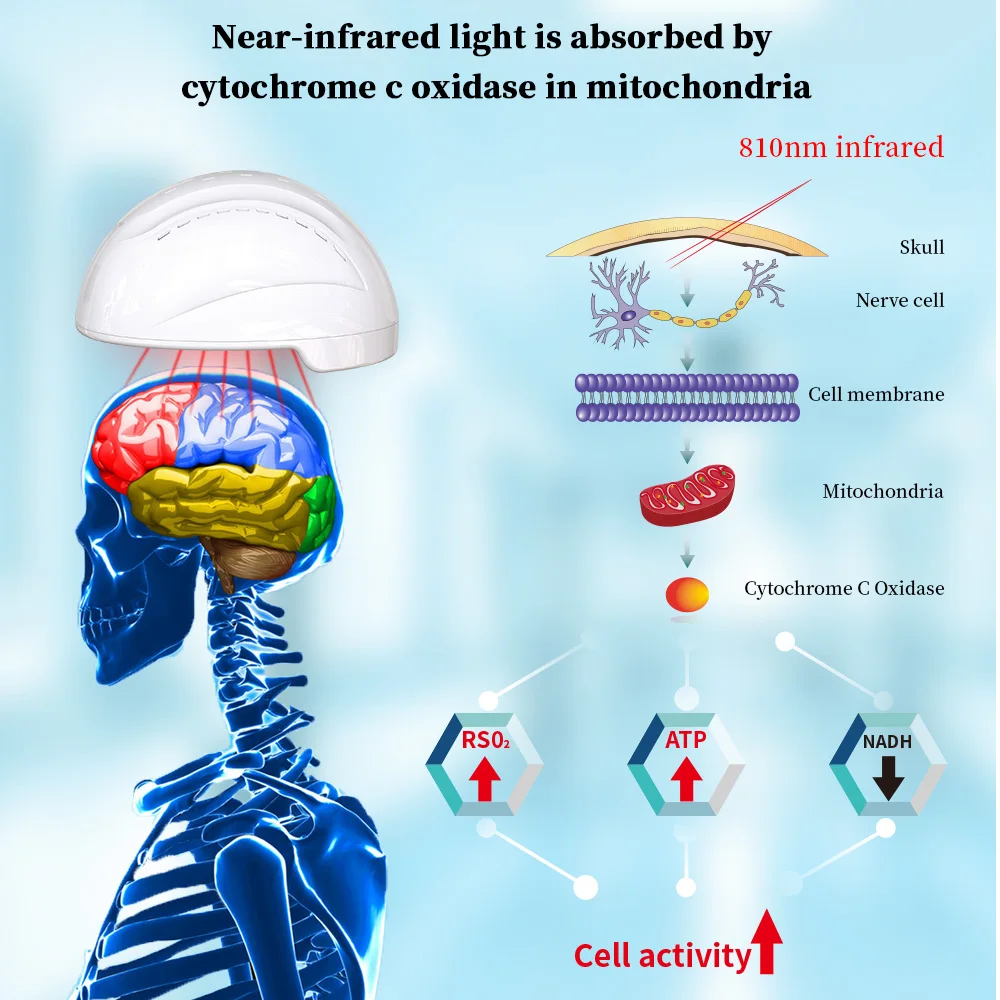 Brain Wave Machine: The Future of Neurotherapy and Mental Wellness on ...