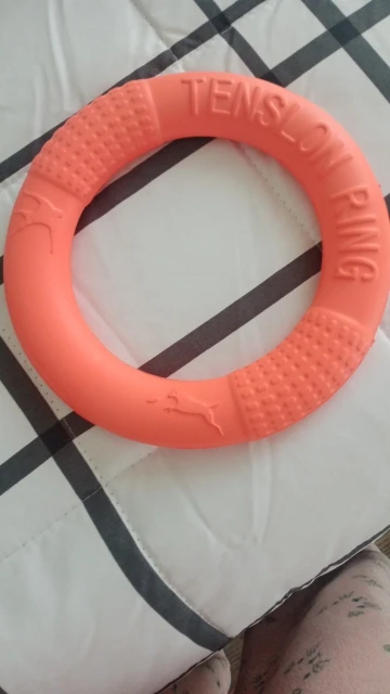 Dog Interactive Training Toy – Pull Ring – DogMega.Com