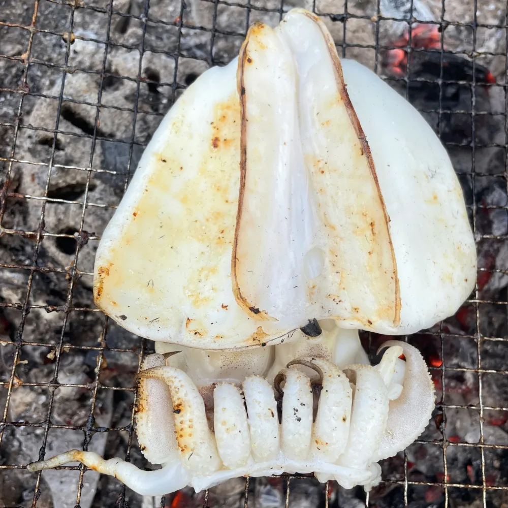 Kap-Squid-167-Agricultural-and-Fisheries-Clean-up-Products-for-the-same ...