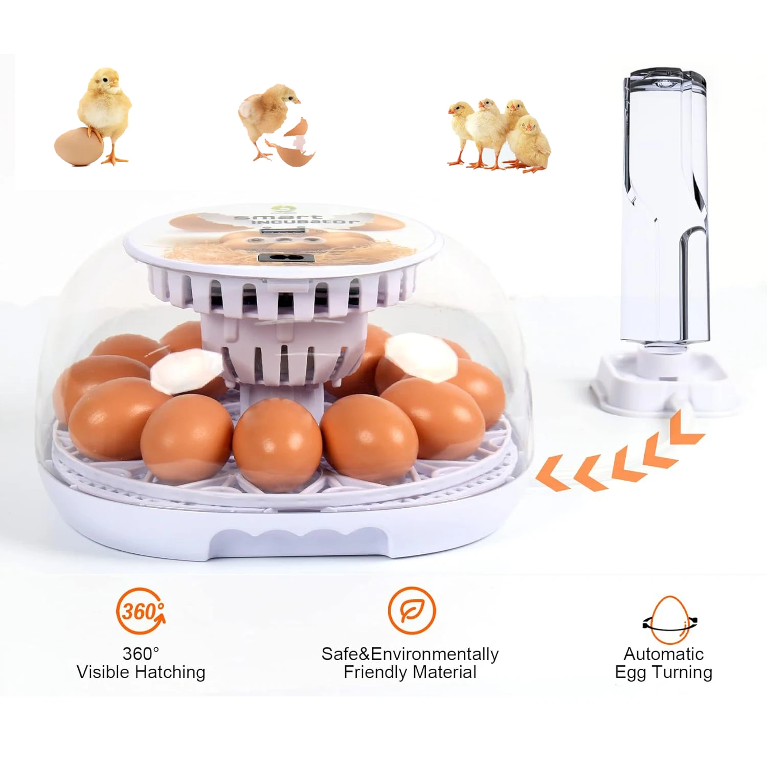 Store Home Products Feedback