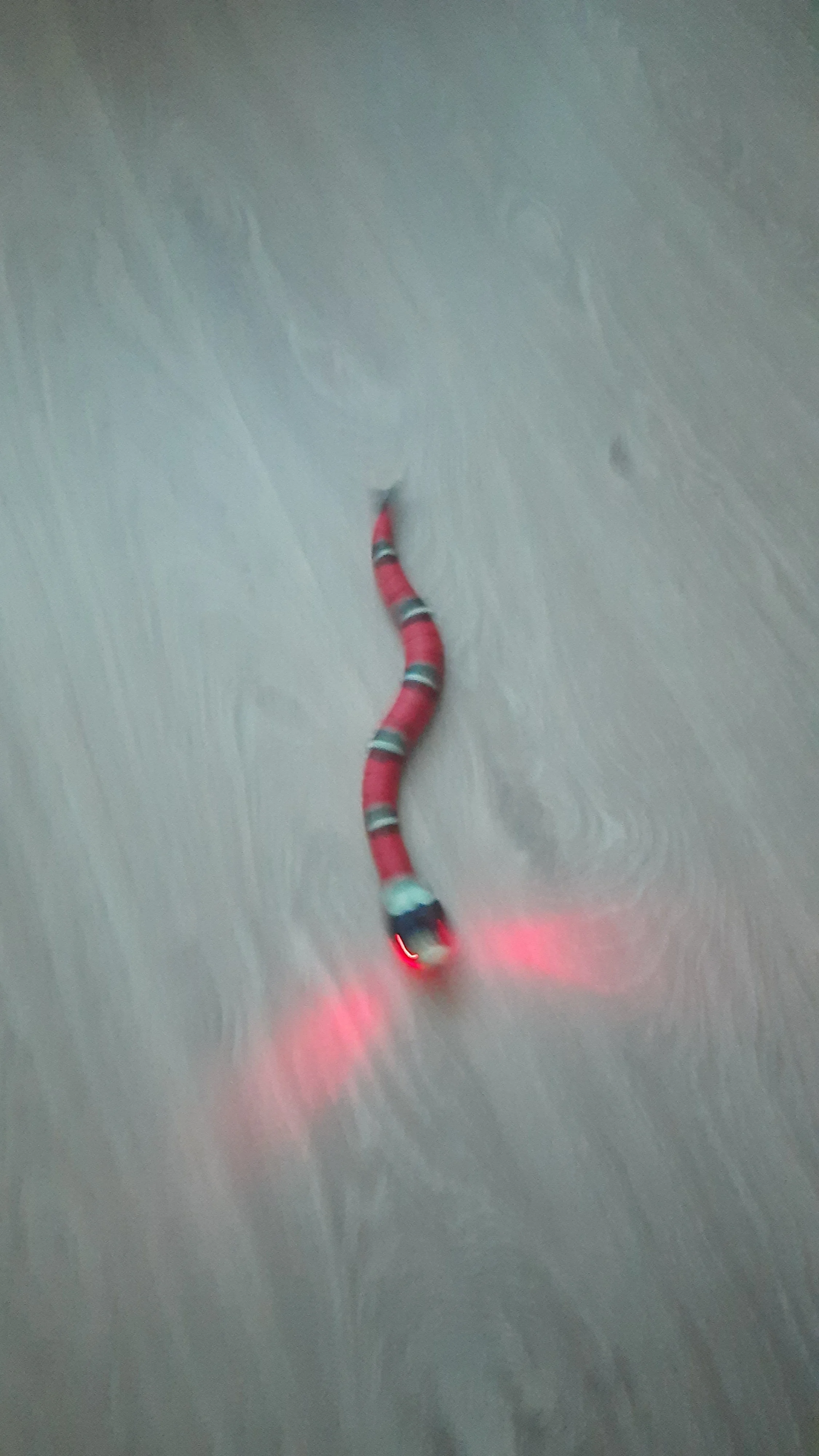 Smart Moving Snake Cat Toys - Electric Snake kitten Toy – HOMIZONE