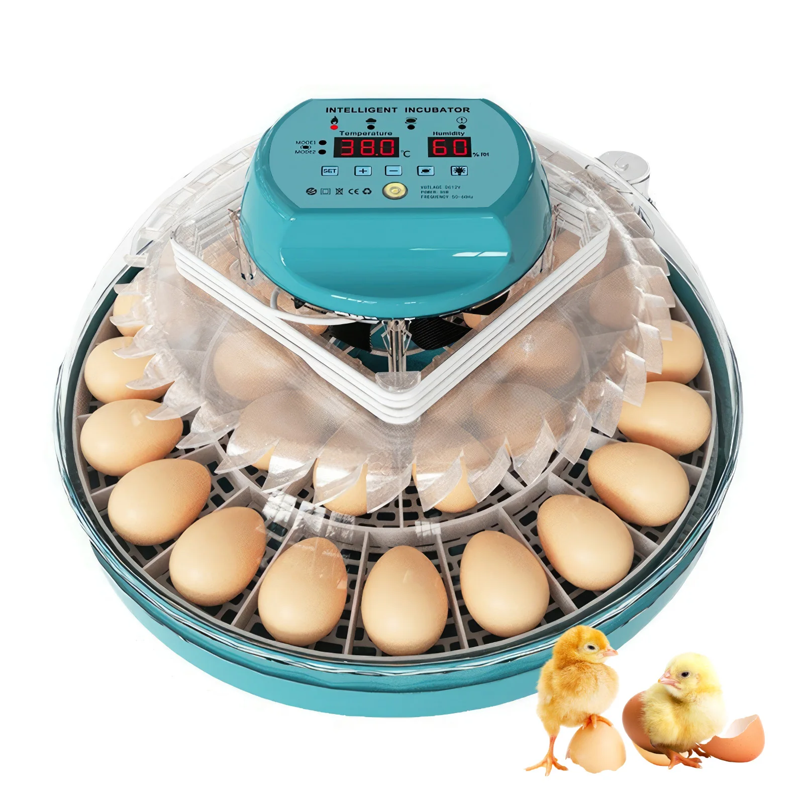 15-30-Egg-Incubator-for-Hatching-with-Automatic-Egg-Turning-Led-Egg ...