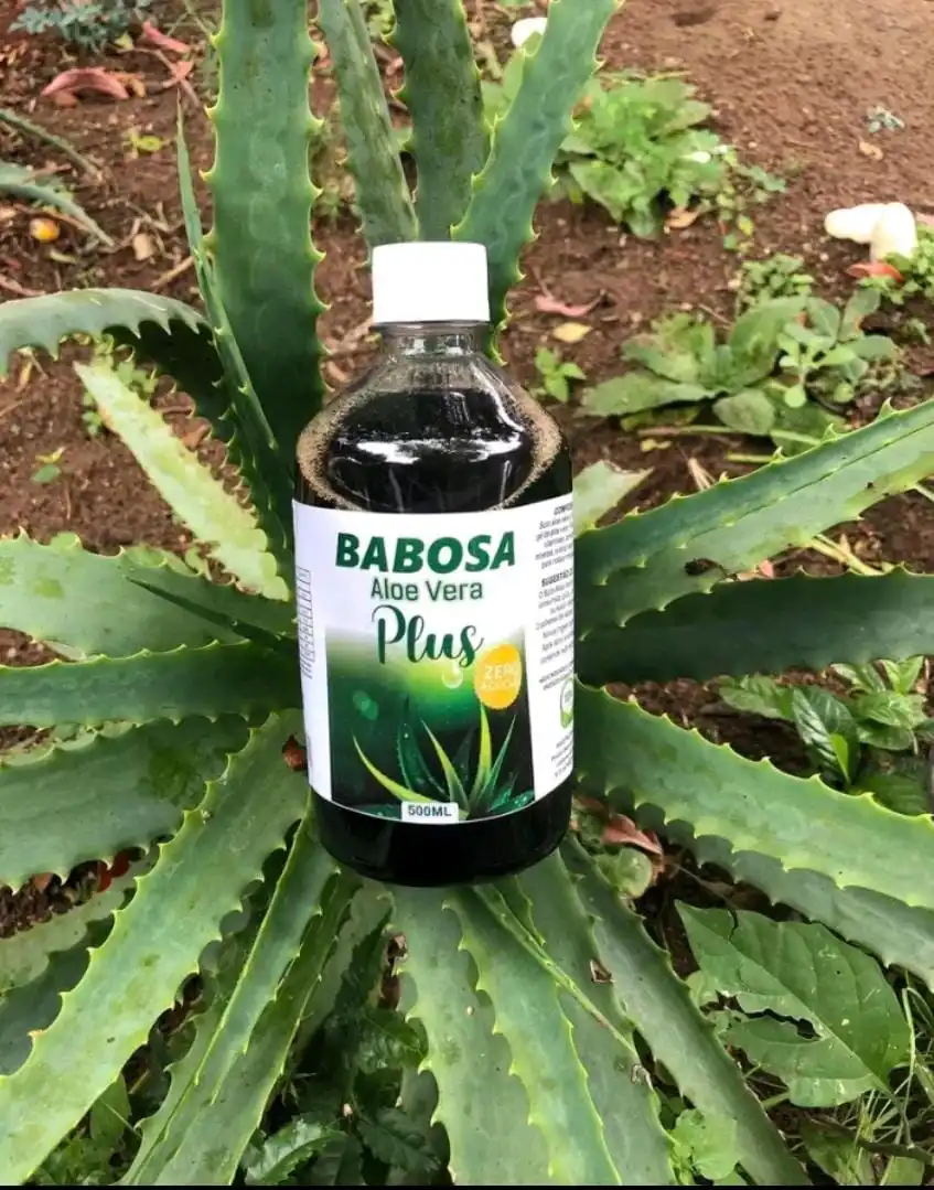 Página inicial da loja Produtos Avaliação