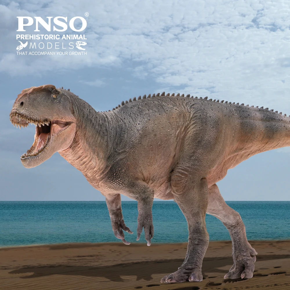 PNSO-modelos-de-dinosaurios-prehist-ricos-62Xinchuan-the-Sinraptor.jpg