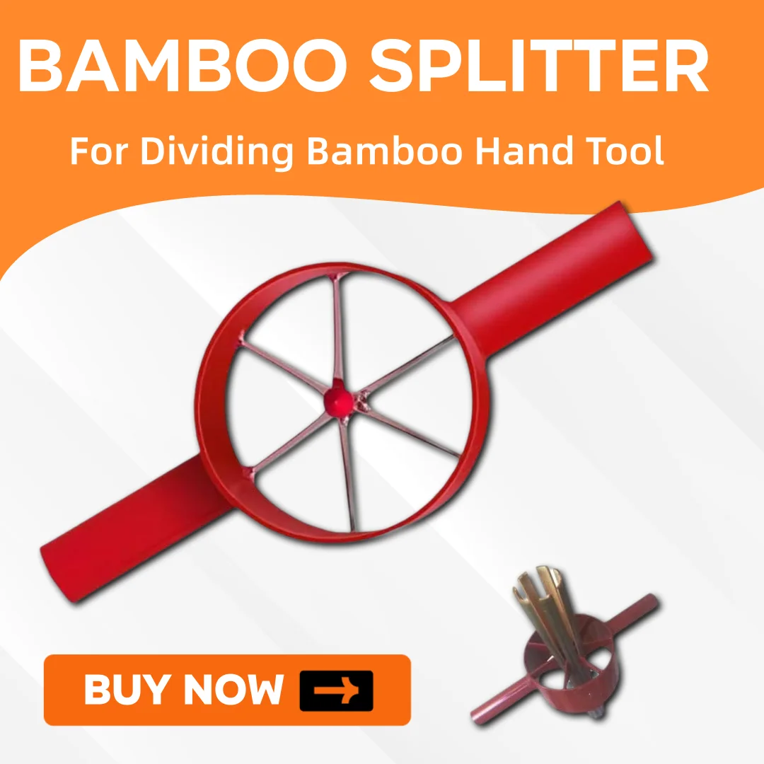 Ad6c9160016ec4253bd64b3e4a2c7f56bO.png