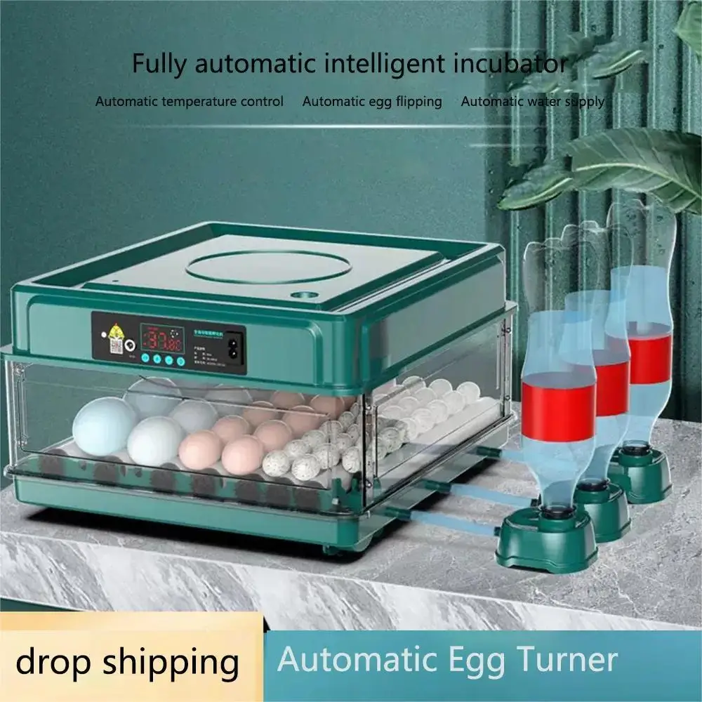 15Eggs-Incubator-With-Drawer-Type-Mini-Egg-Incubator-With-Automatic ...