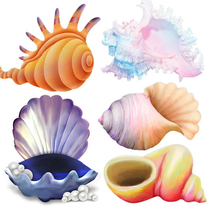 Three Ratels CF138 Lovely dream colorful conch shell children's gift ...