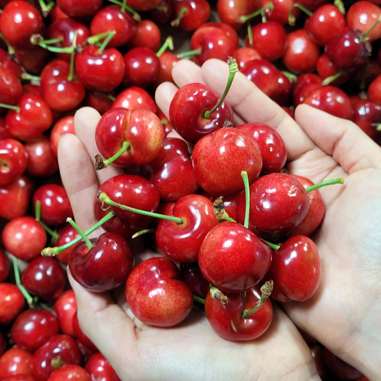 홈 제품 피드백