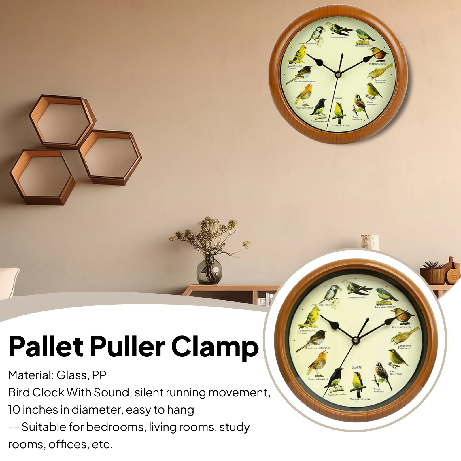 Singing Bird Wall Clock Bird Clock with Sound for Living Room Office ...